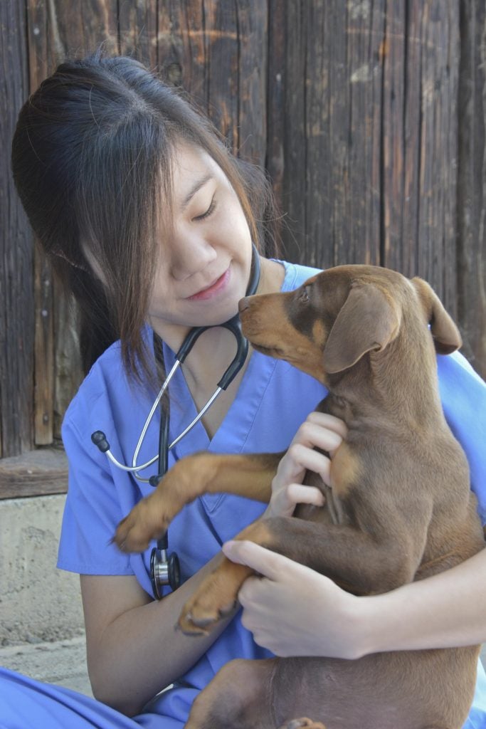 The Value of Integrity and Honesty – Michael Lairmore, Dean, Veterinary ...